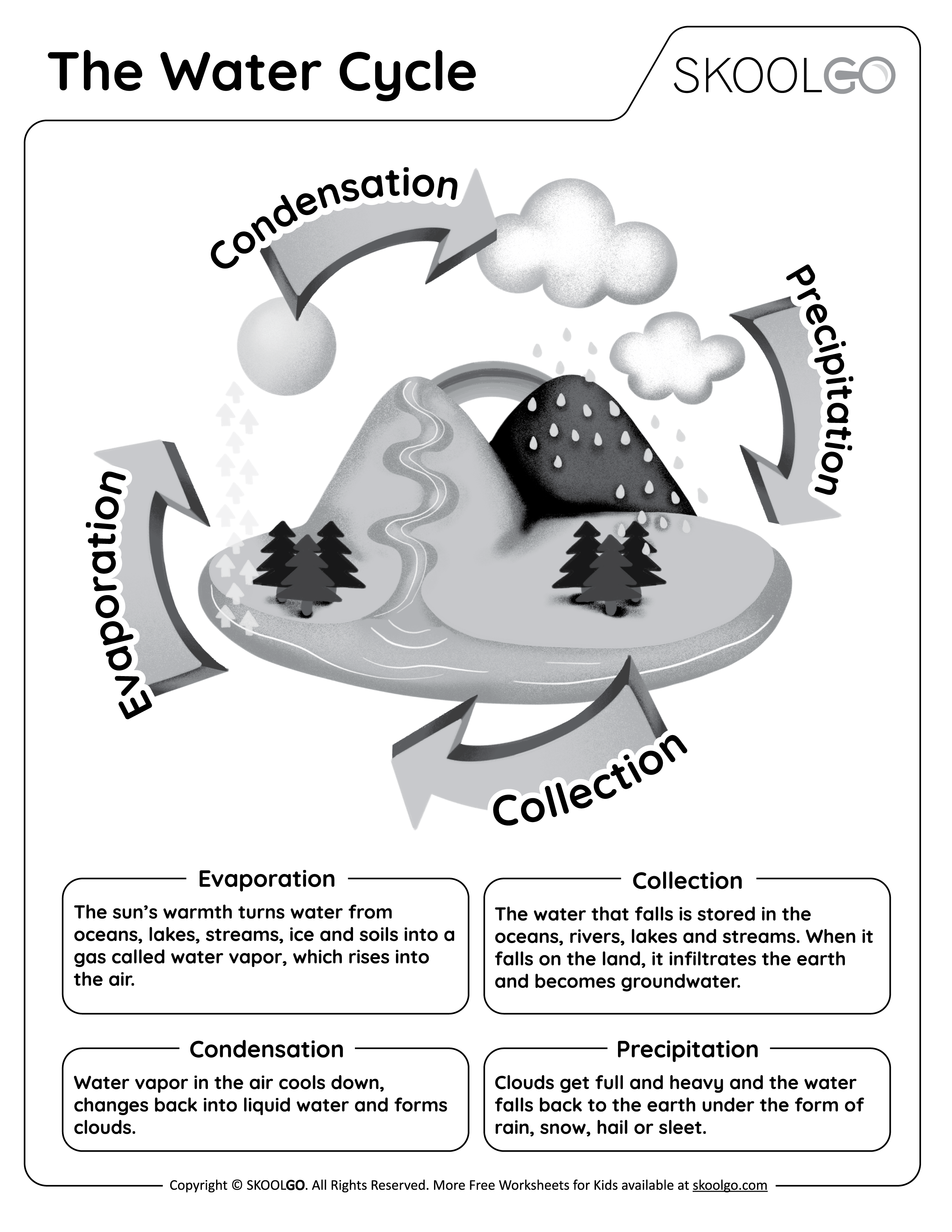 The Water Cycle - Free Worksheet - SKOOLGO