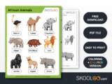 African Animals - Free Worksheet - SKOOLGO