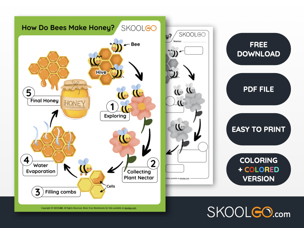 Free Honey Printable Worksheets - SKOOLGO